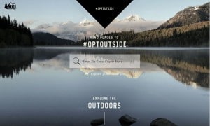 10 story elements from REI's #OptOutside Black Friday movement