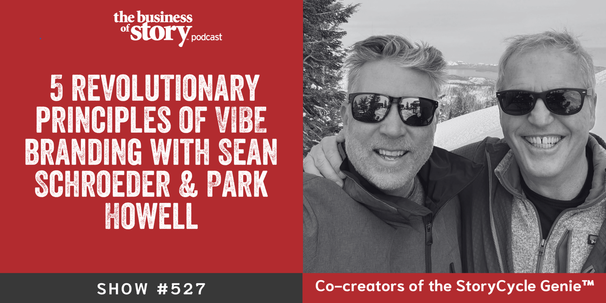 The Five Revolutionary Principles of Vibe Branding With Sean Schroeder ...